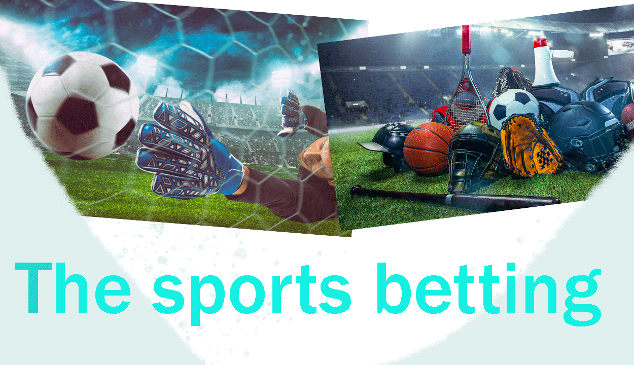 How to make profitable bets every day? Tips